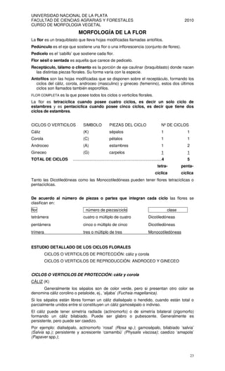 La flor | PDF