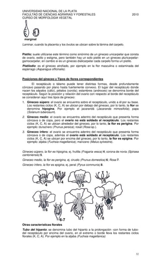 La flor | PDF