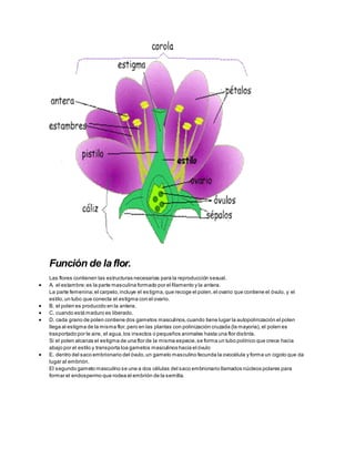 La flor | DOCX
