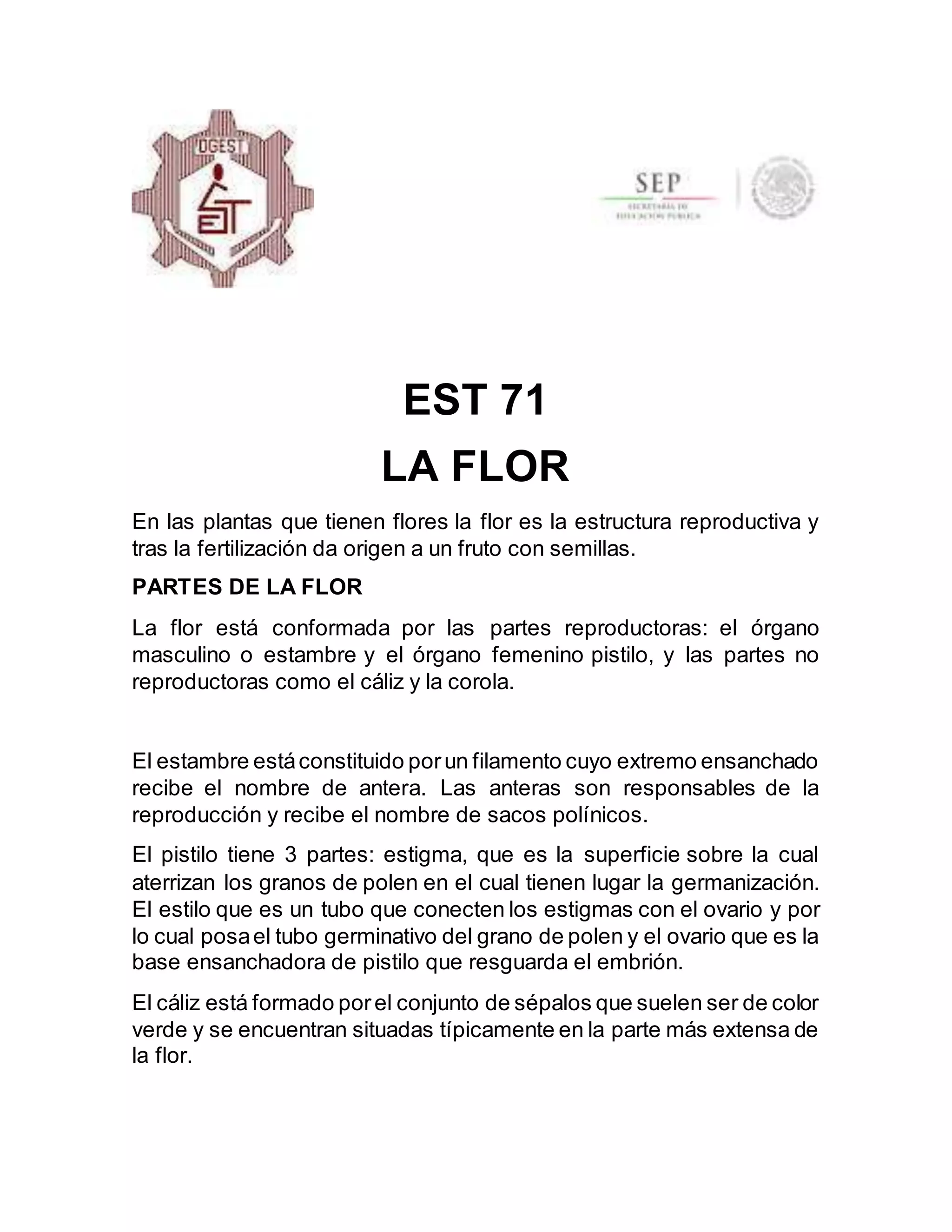 La flor | DOCX