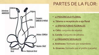 LA FLOR LA FLORLA FLORLA FLORLA FLORLA FLORLA FLORLA FLORÑOMIIIII.pdf ...