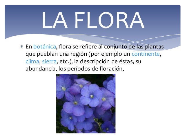 La flora