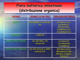 La flora batterica intestinale (eubiosi, disbiosi, supplementazione ...
