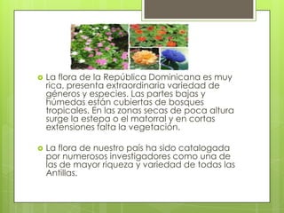 La flora dominicana | PPTX