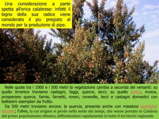 La flora in calabria | PPTX | Woodworking | Arts and Crafts