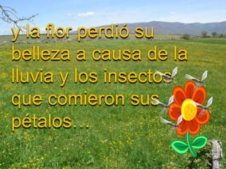 La flor y el sapo[1]ketu | PPT