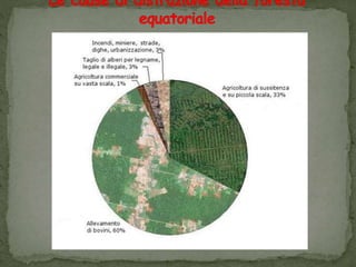 La foresta equatoriale | PPT