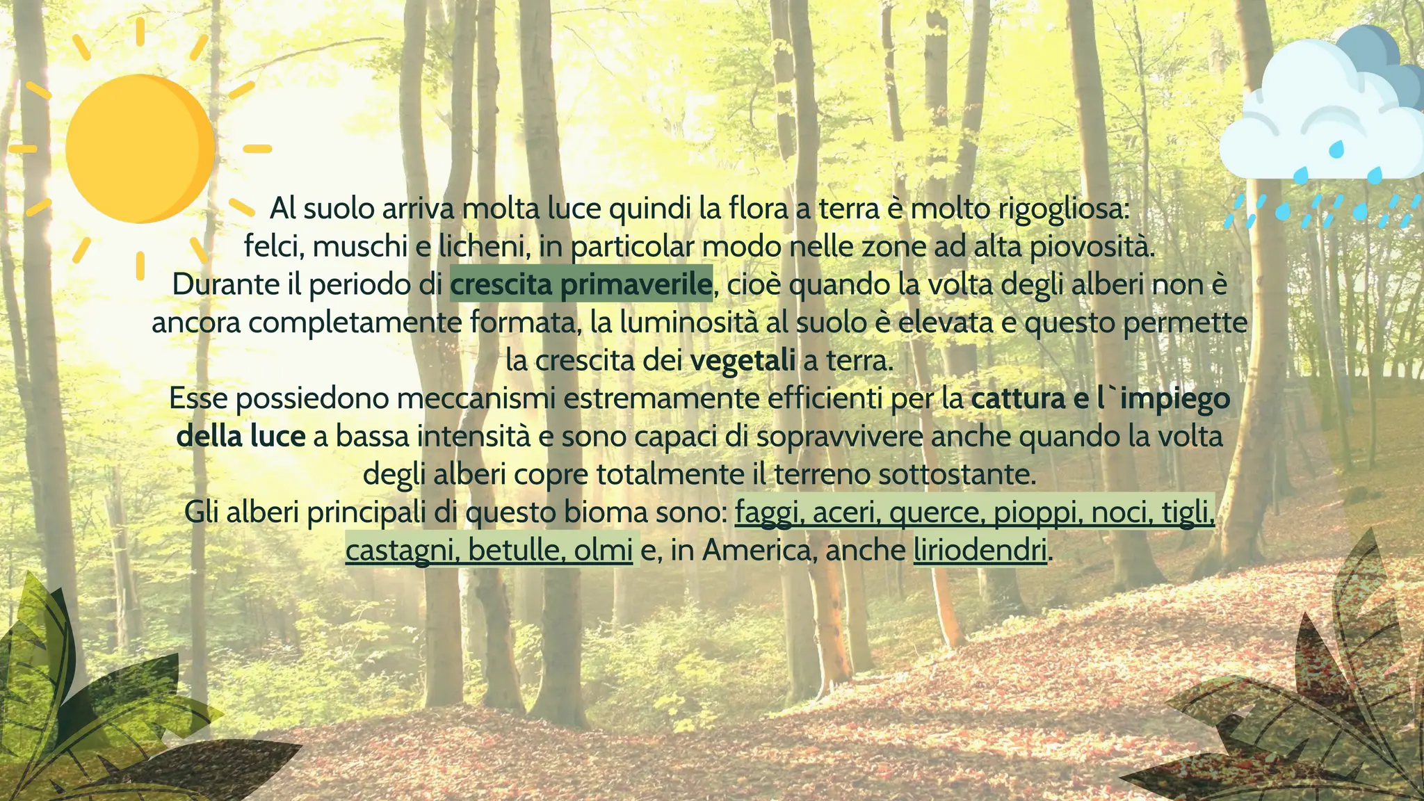 la foresta temperata prese giusta completa | PDF