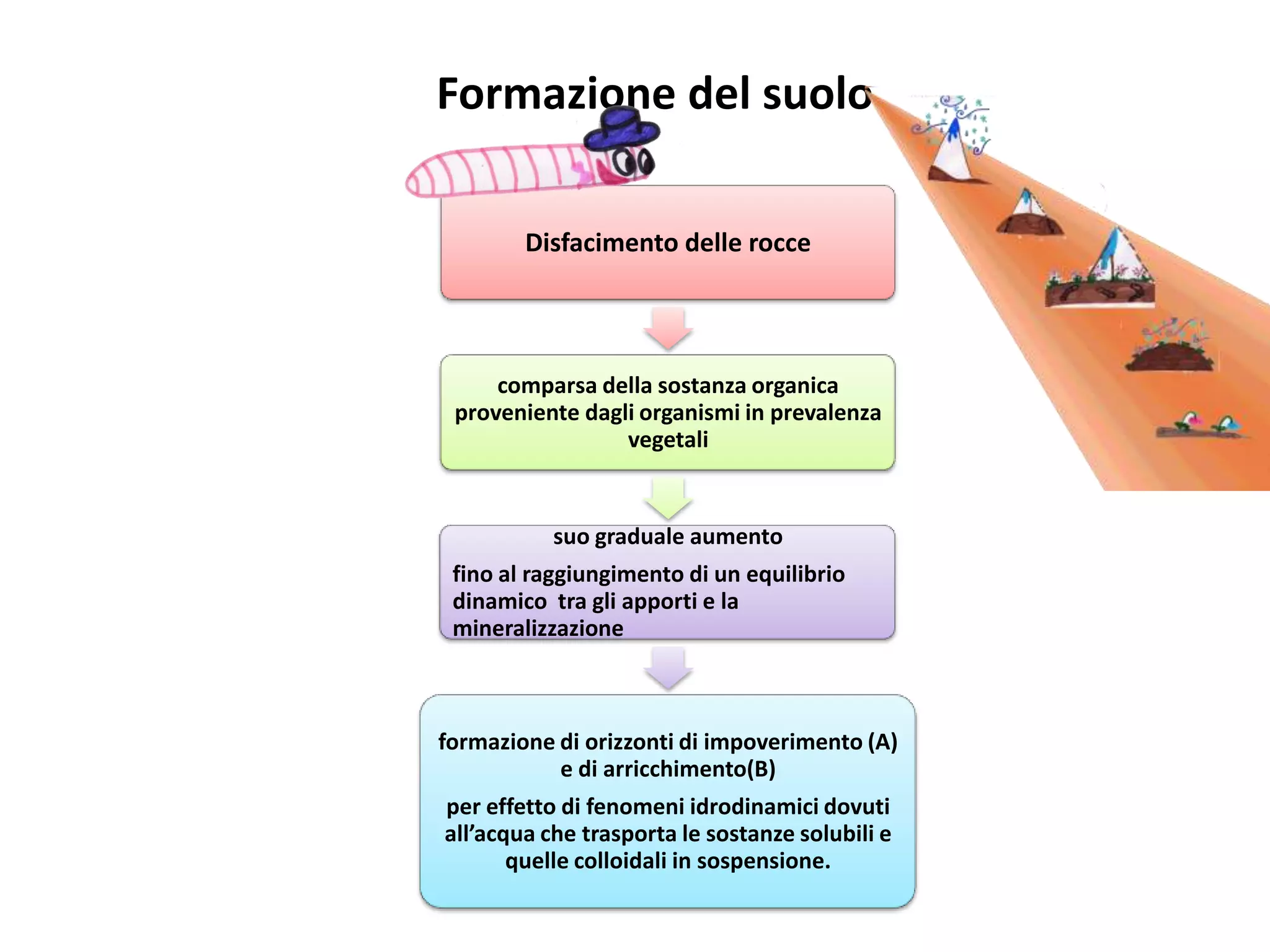 La formazione del suolo | PPTX