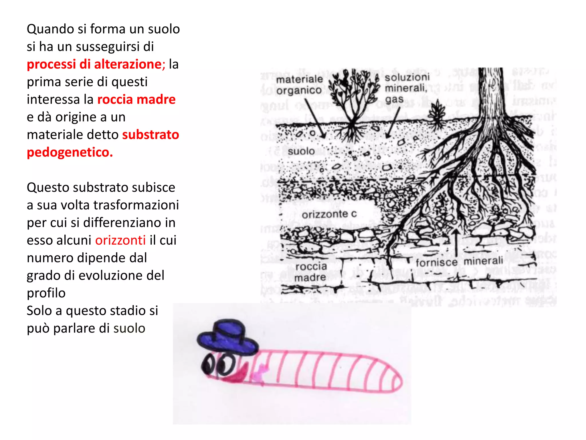 La formazione del suolo | PPTX