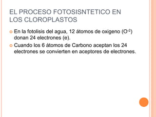 La fotosisntesis | PPTX