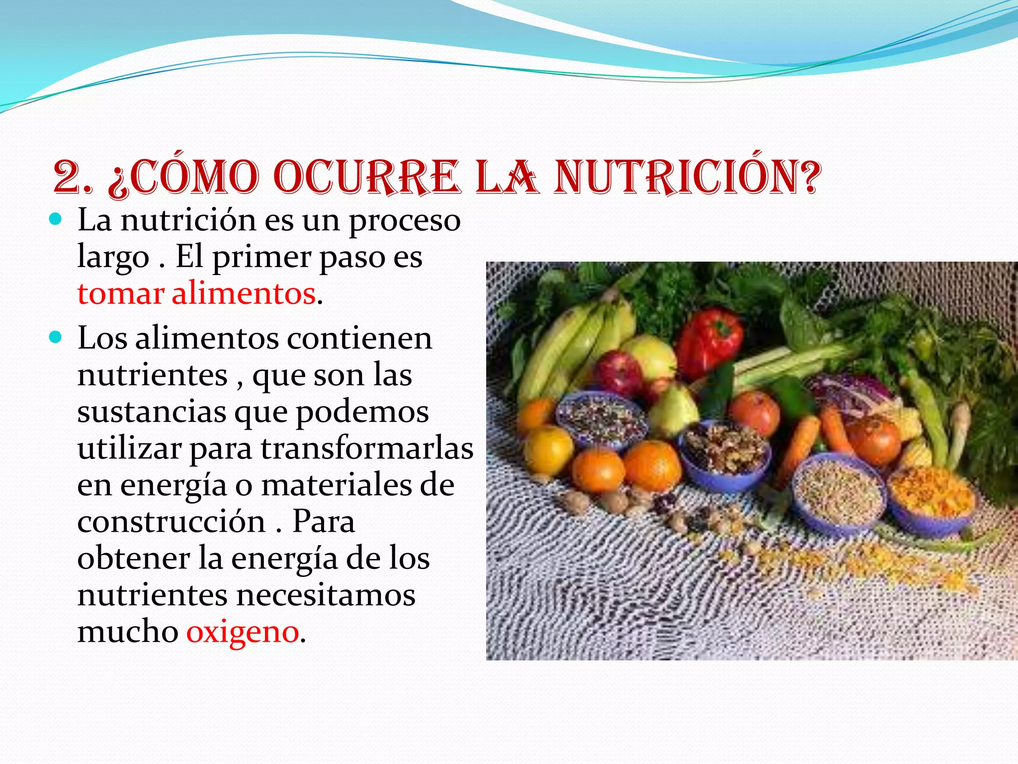 La función de nutrición | PPS