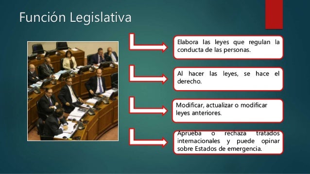 La Función Legislativa