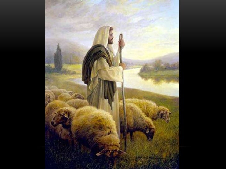 La funcion de los pastores