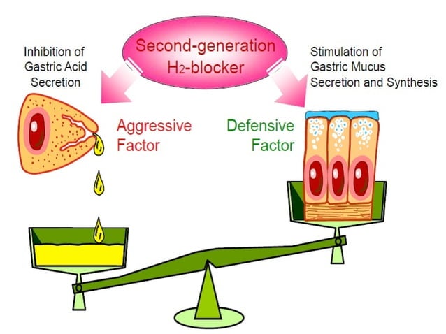 Lafutidine, Second generation histamine H2 receptor antagonist | PPT