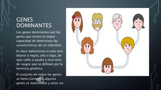La genética humana presentacion | PPTX