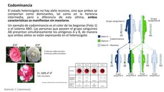 Resumen La genética y las leyes de Mendel.pptx