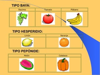 La germinación. Ciencias de la Educación | PPT