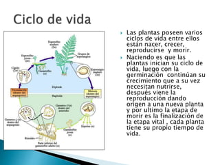 La germinacion en las plantas completa para la maestra2 | PPTX
