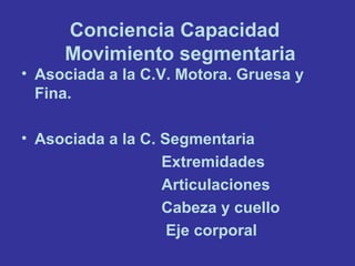 La gimnasia en el nivel inicial y el primer ciclo de la escuela basica ...