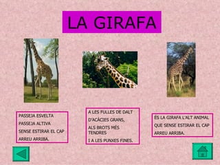 La girafa | PPS