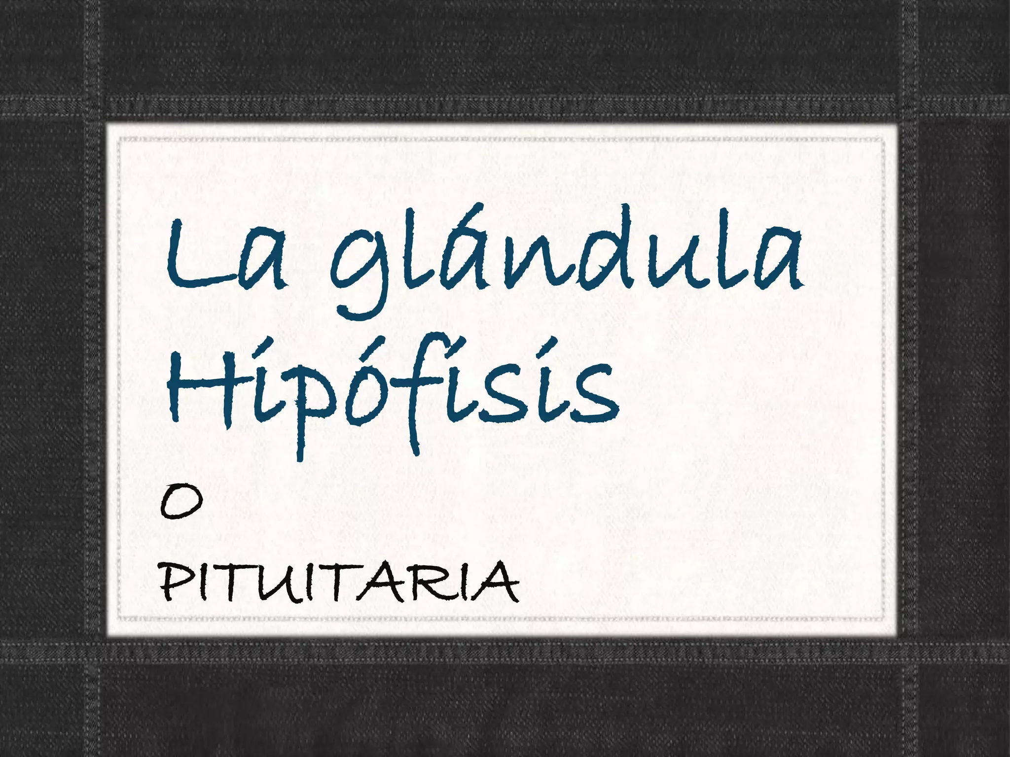 La glándula hipófisis | PPTX