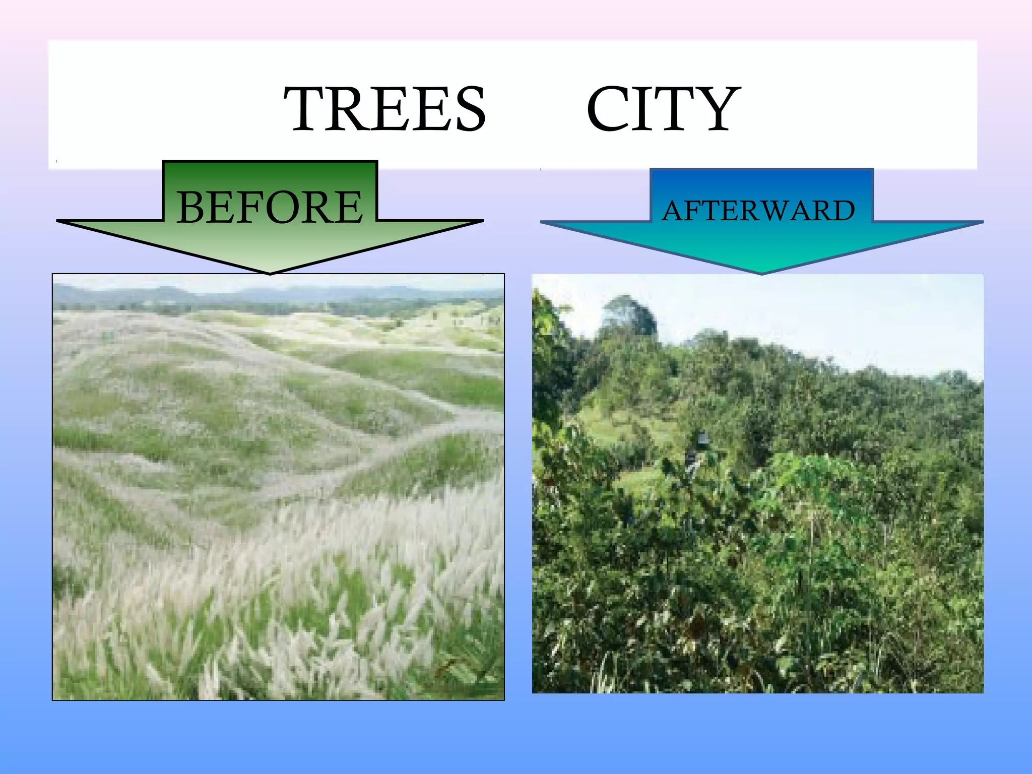 Lago alajuela o madden | PPT