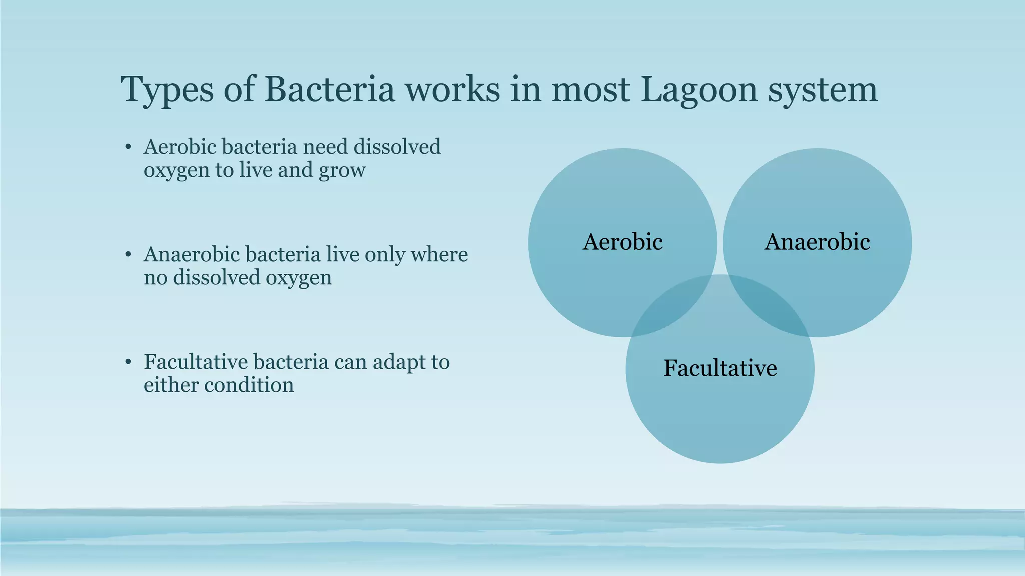 (Waste Water Treatment) Lagoon | PPTX