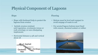(Waste Water Treatment) Lagoon | PPTX