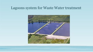 (Waste Water Treatment) Lagoon | PPTX | Chemistry | Science