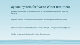(Waste Water Treatment) Lagoon | PPTX
