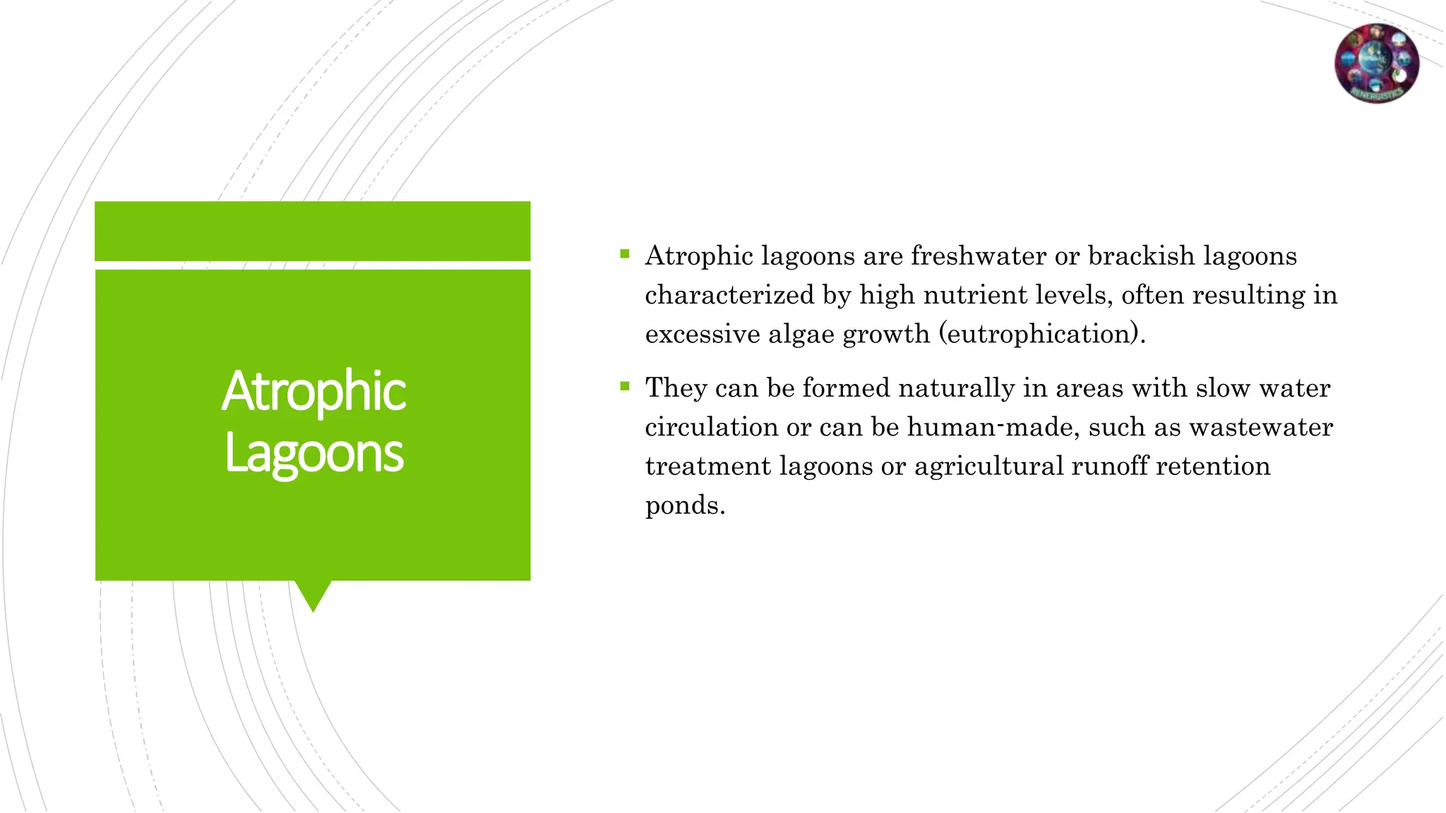 LAGOONS - aquatic ecosystems with unique hydrological and ecological ...