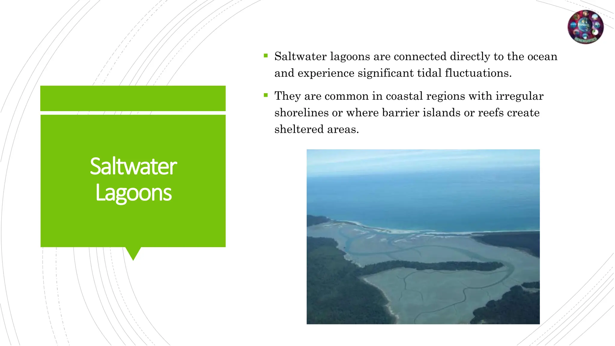 LAGOONS - aquatic ecosystems with unique hydrological and ecological ...