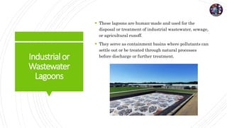 LAGOONS - aquatic ecosystems with unique hydrological and ecological ...