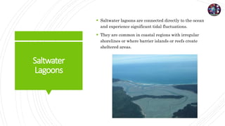 LAGOONS - aquatic ecosystems with unique hydrological and ecological ...