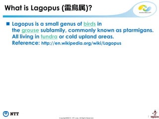 Lagopus presentation on 14th Annual ON*VECTOR International Photonics ...