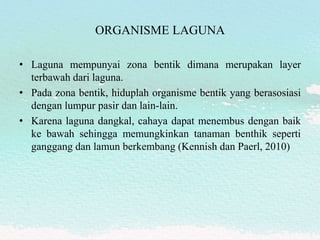 PPT LAGUNA | PPTX