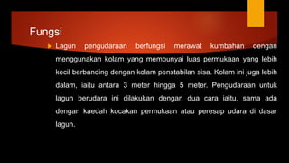 Lagun pengudaraan | PPT