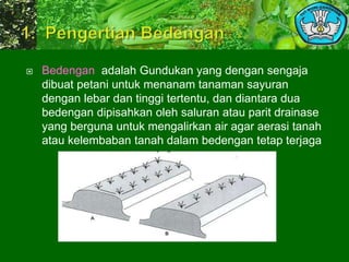 Lahan 3.pptx