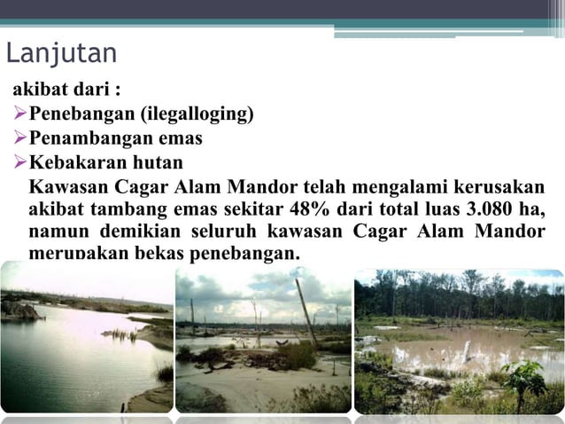 LAHAN BASAH.pptx
