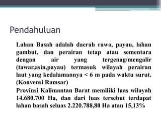 LAHAN BASAH.pptx
