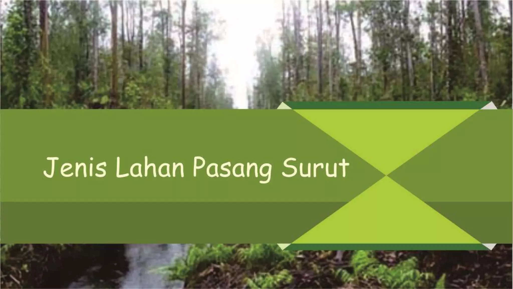 Lahan pasang surut | PPTX