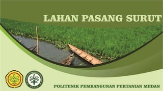 Lahan pasang surut | PPTX