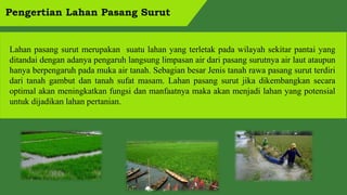 Lahan pasang surut | PPTX