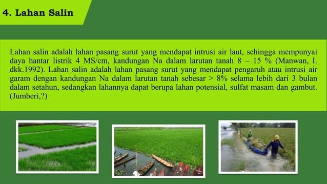 Lahan pasang surut | PPTX