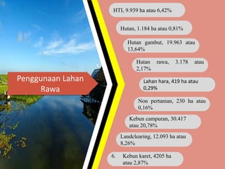 Lahan rawa | PPTX