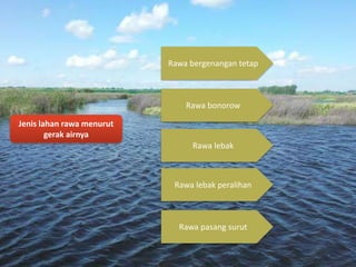 Lahan rawa | PPT