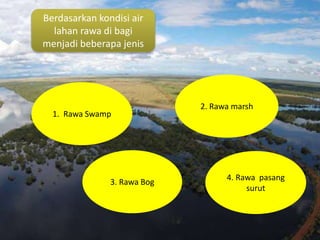 Lahan rawa | PPT