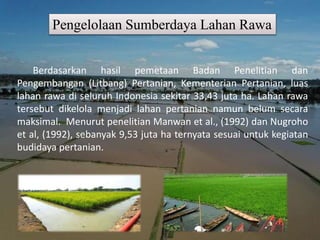 Lahan rawa | PPT