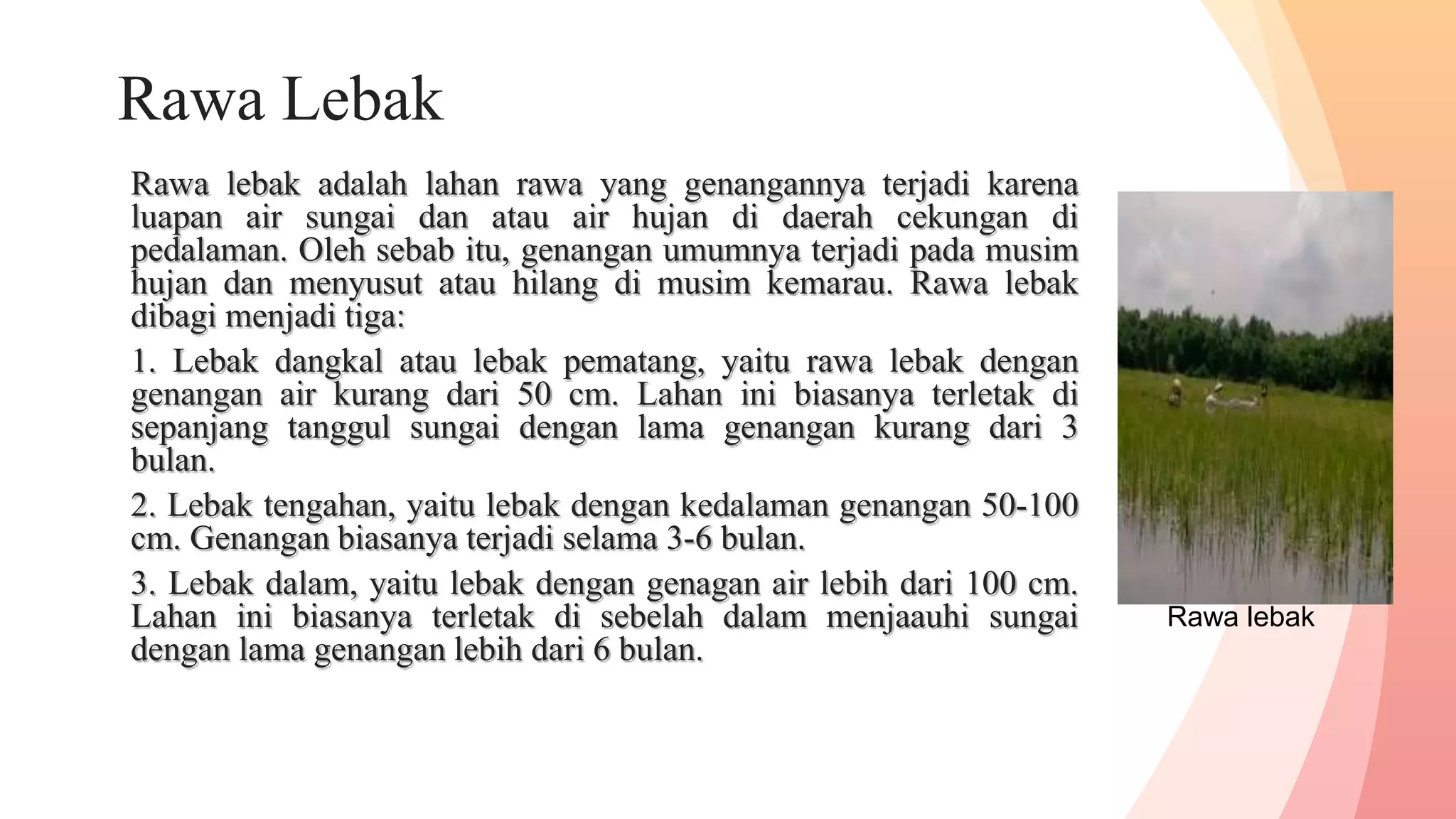 Lahan rawa fix | PPTX